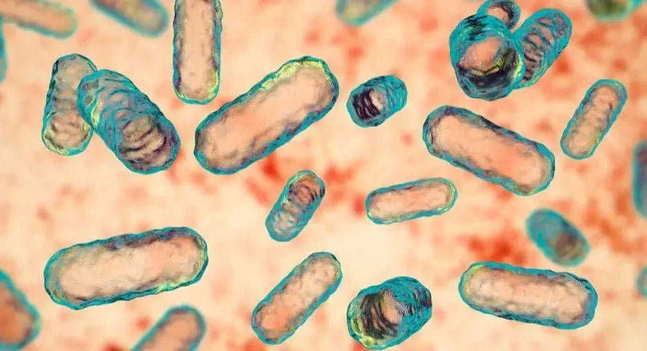 The Gut-Brain Connection in Parkinson’s Disease – NeuroFiber